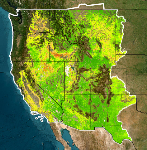 Exotic Annual Grasses: Invasive Species | Multi-Resolution Land ...